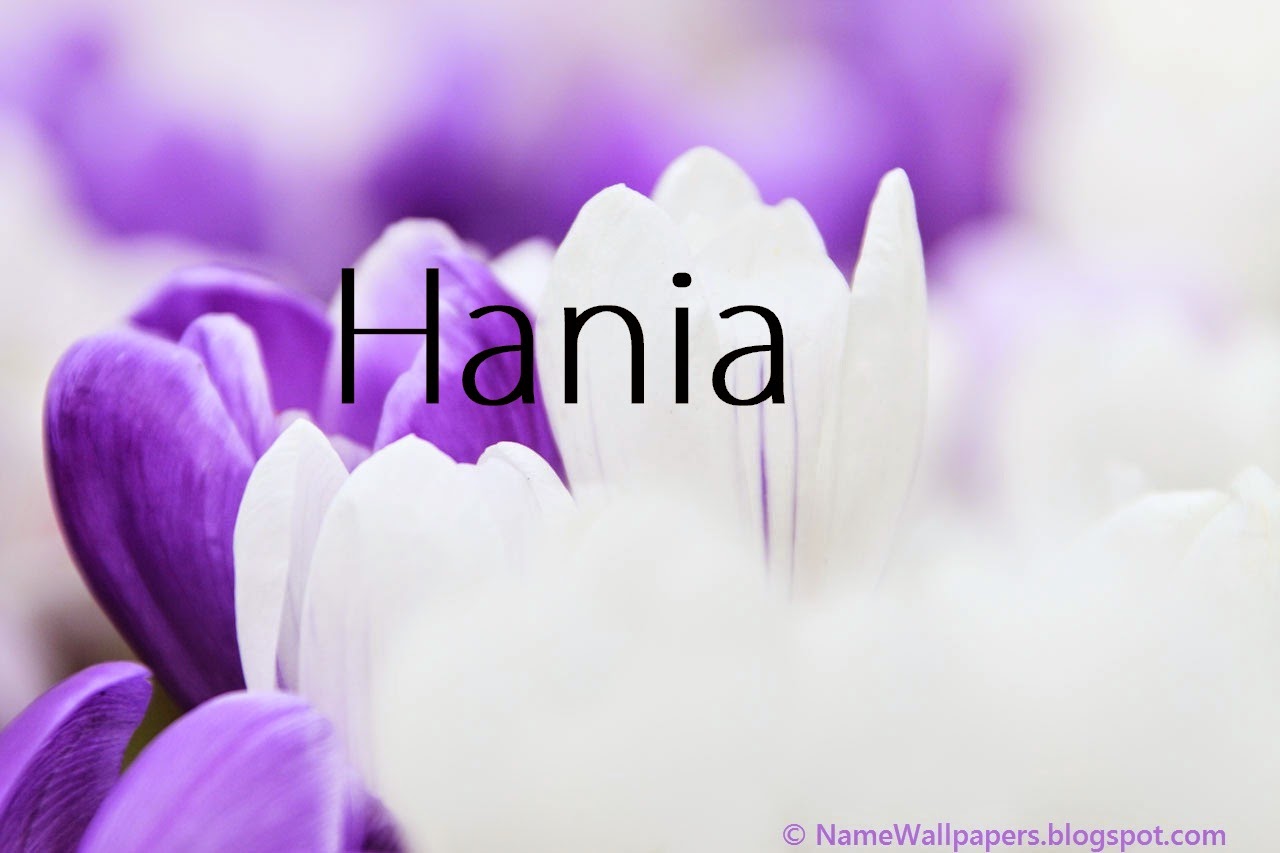 Hania Name Wallpapers Hania ~ Name Wallpaper Urdu Name Meaning Name ...