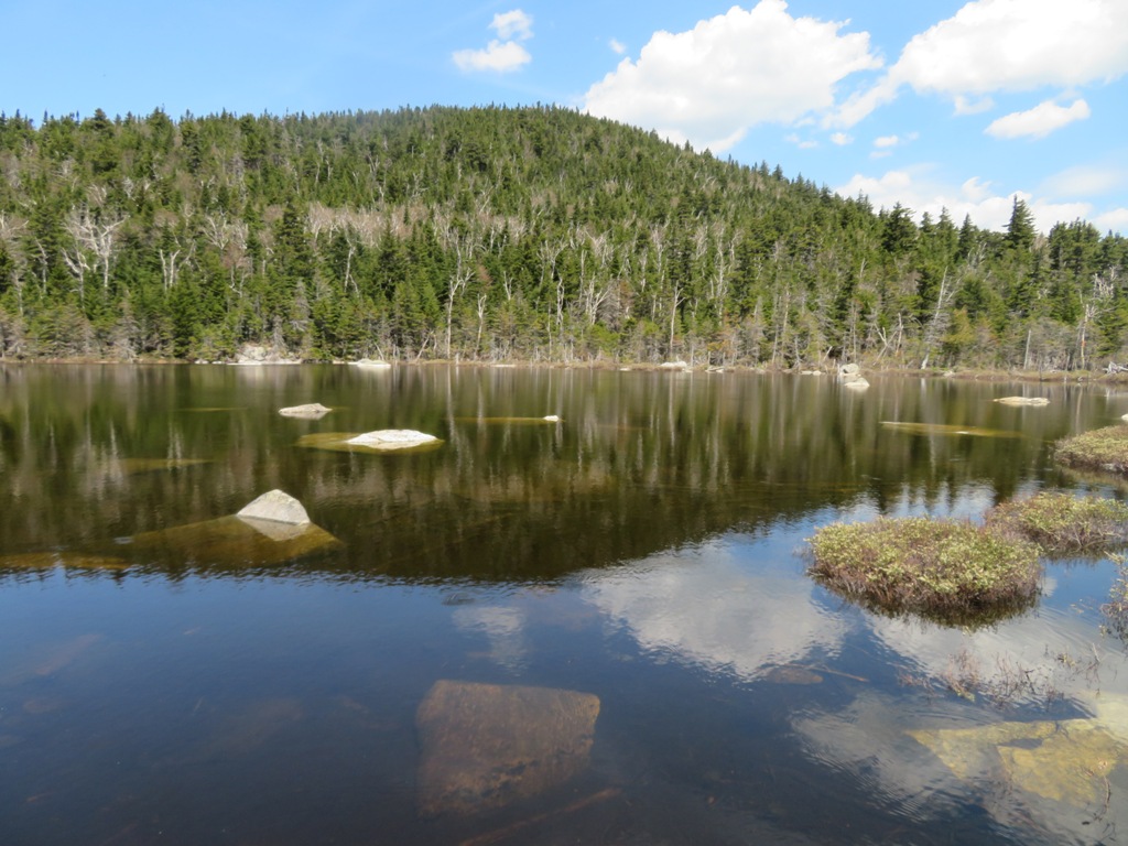 Mountain Wandering: Adirondacks: Cooper Kiln Pond & Morgan Mountain 5/20/21