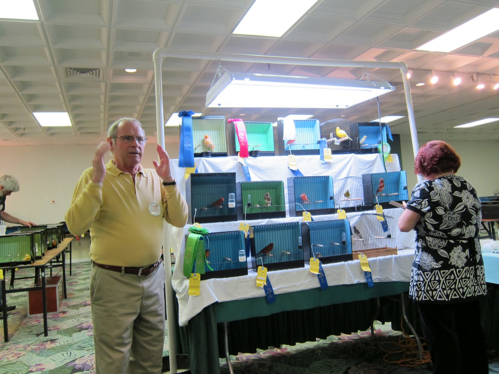 Canary Tales: Winners Florida Canary fanciers Bird Show