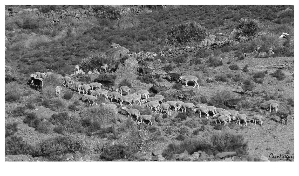 Caleyando con Cienfuegos: Senda de la Caldera de Majada Redonda. Cabo ...