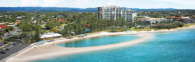 On the plight of the dolphins | Swellnet Dispatch | Swellnet