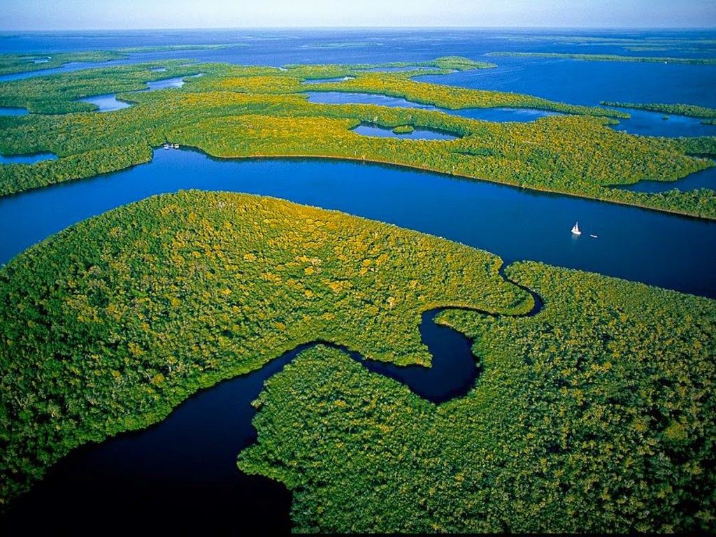 El río Amazonas es el más caudaloso del mundo con grandes atractivos y ...