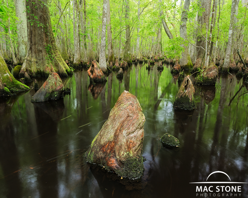 Mac Stone Photography