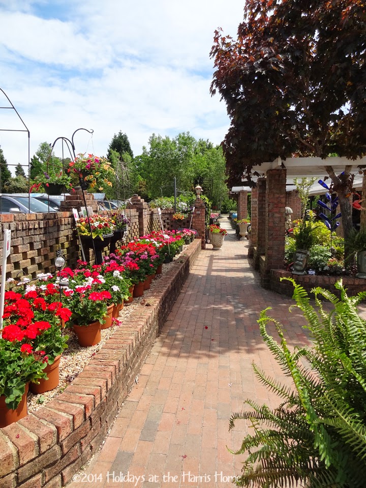 Holidays at the Harris Home: A Visit to Big Bloomers Flower Farm