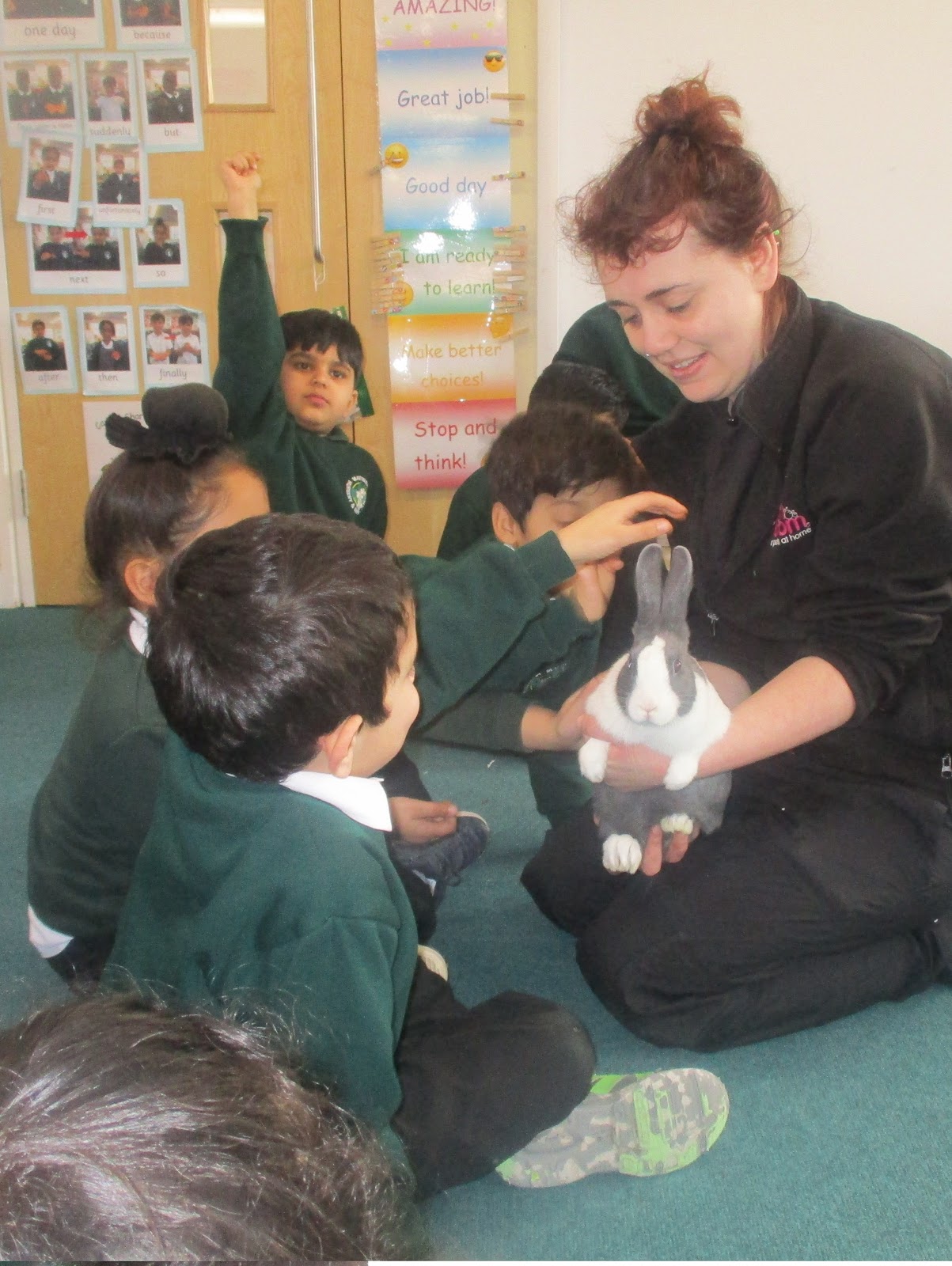 Maytree Nursery and Infant School: Rabbits class meet rabbits!