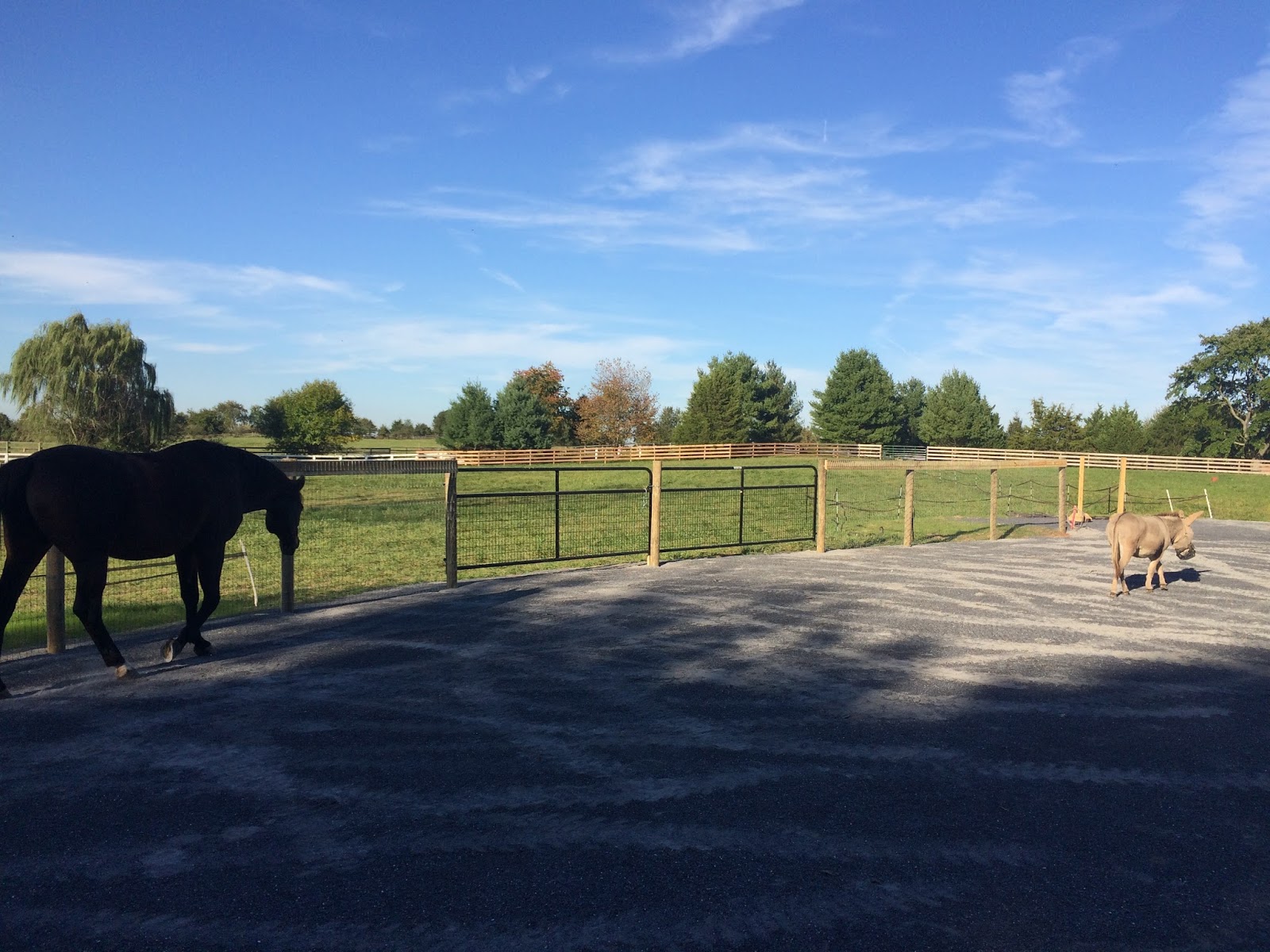 Building & Managing the Small Horse Farm: Dry Lot: Construction (with ...