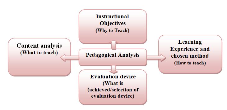 CHAPTER: 08 PEDAGOGICAL ANALYSIS