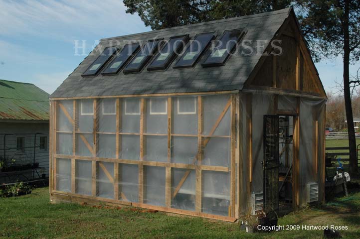 Hartwood Roses: Greenhouse: West Wall Windows