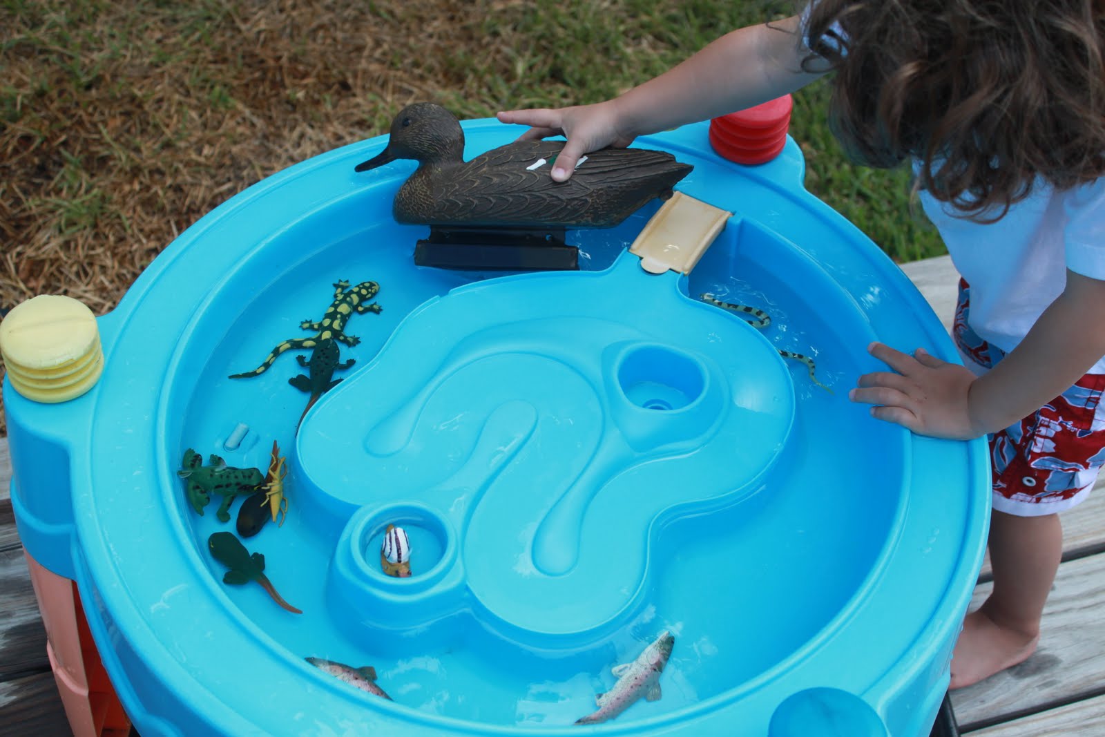 Miller Academy: Ponds - sensory & art projects
