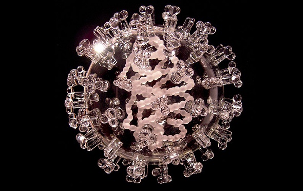 Hybrids of Art and Science: Beautiful Viruses