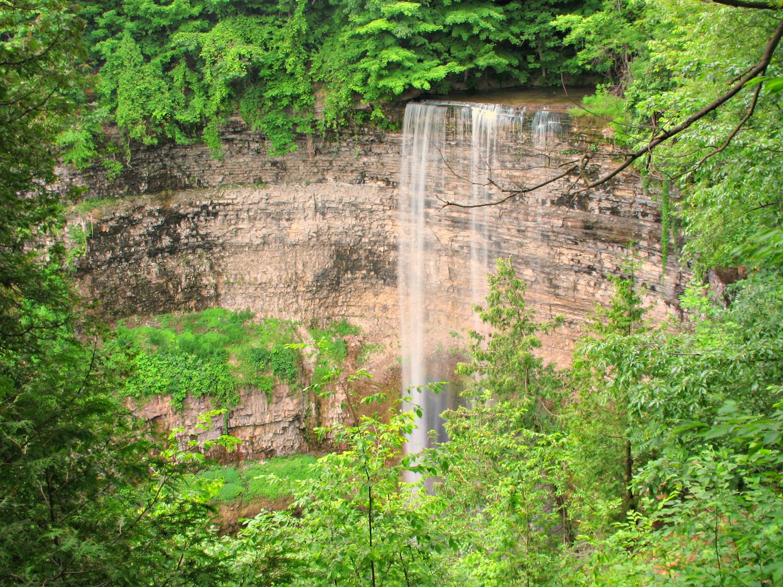 Dundas Valley Outdoors: Father’s Day Hike to the Dundas Peak