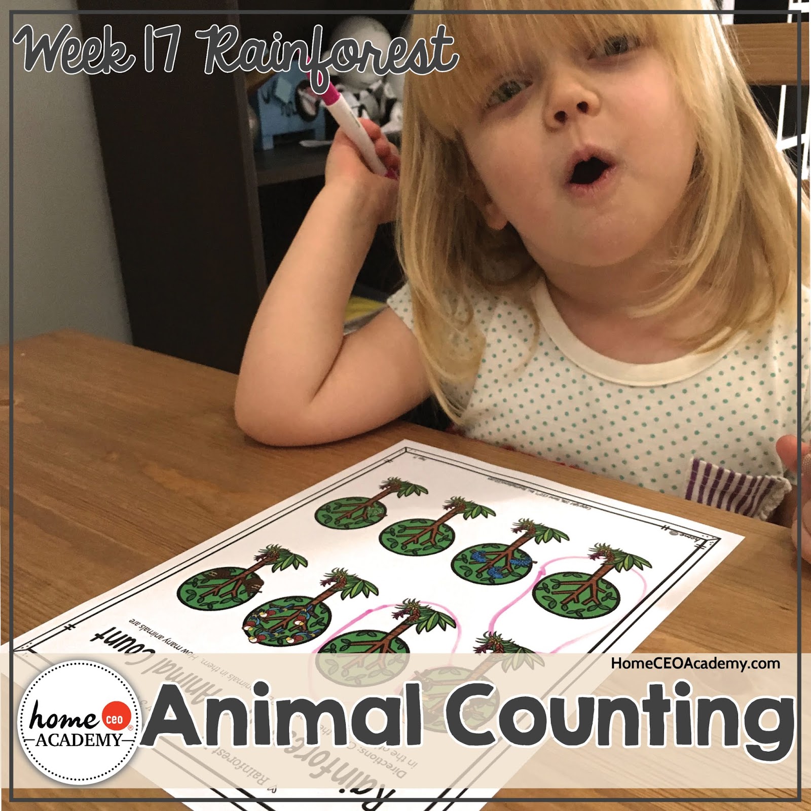 Preschool Habitats: Rainforest Theme by Home CEO Academy