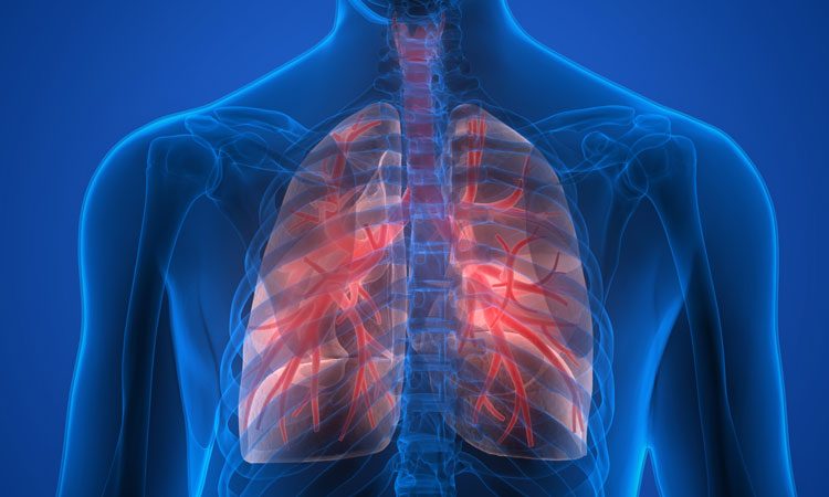 Zanimljive činjenice o plućima