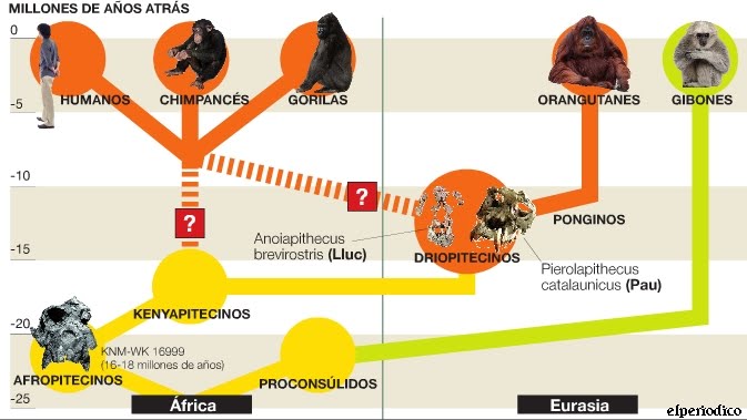 TecnoLogic Spain: Los ‘abuelos’ de Pierola.