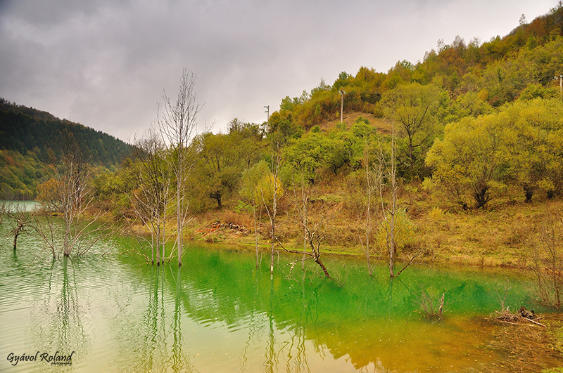 Gyávol Roland Photography: Rosia Poieni
