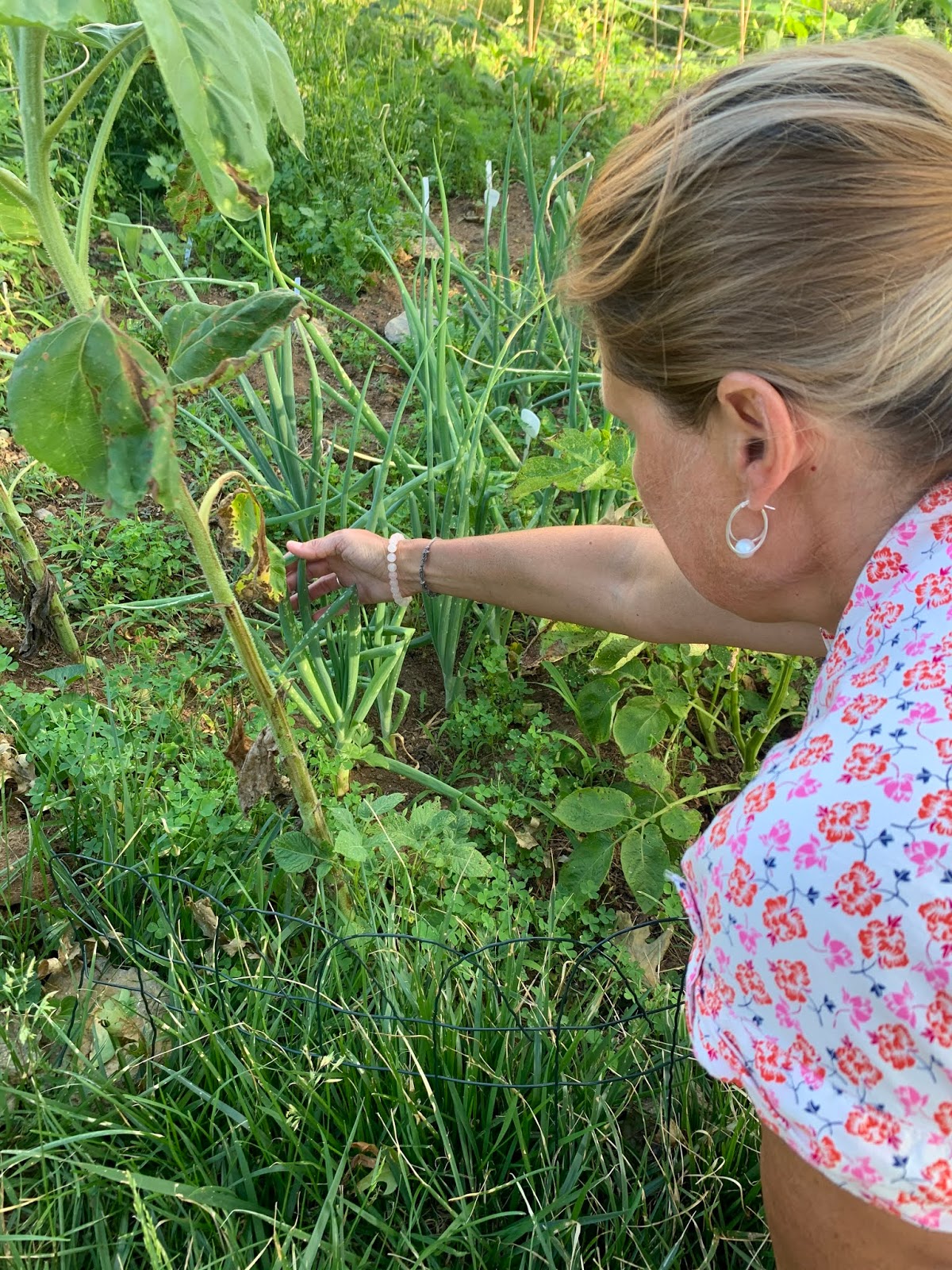 Midway Messenger: State investigating complaints by Highview Drive ...