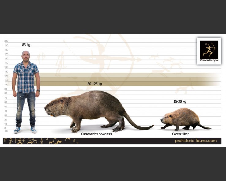 GW Human Evolutionary Genetics : Ancient DNA reveals twenty million ...