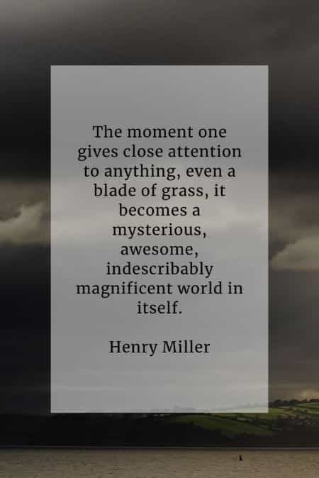 50 Spiritual quotes that will help in uplifting your spirit