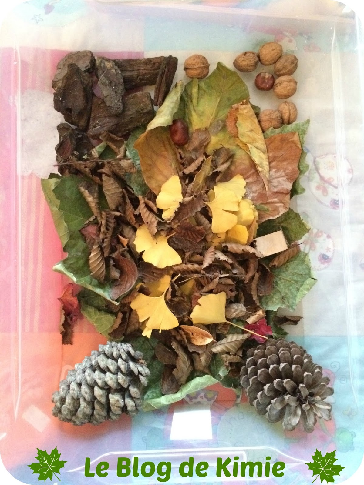 Mon bac sensoriel d'automne [Activité Montessori]