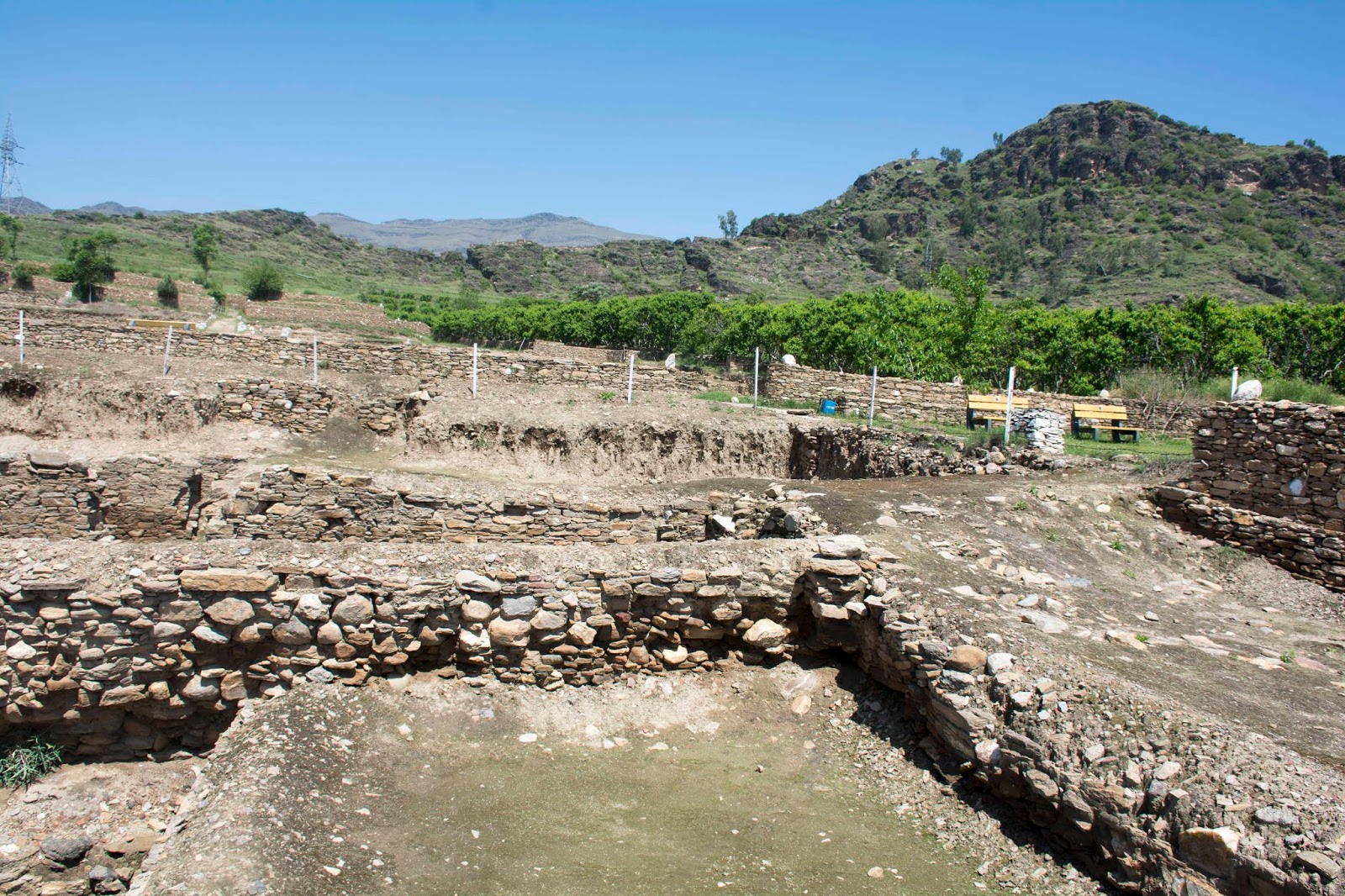 Ali Usman Baig : The Ancient Bazira of Alexander (2019)