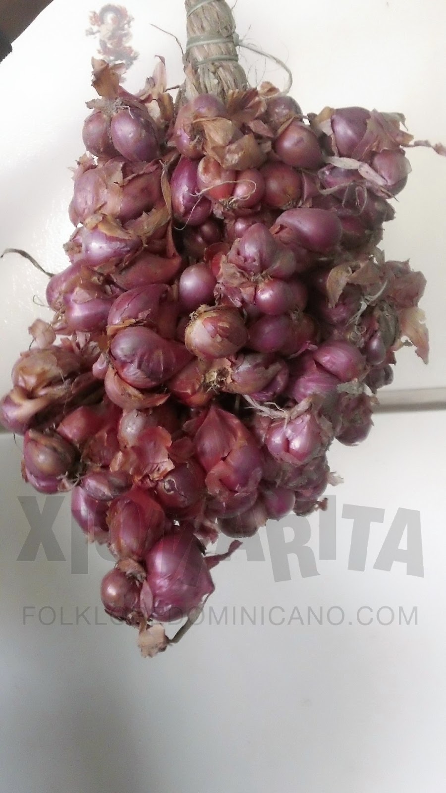 El cebollín, un aliado en la cocina y en la medicina folklórica ...