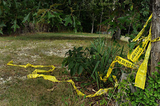 Washington's Other Monuments: Tape for Anthony Boatwright, Temple Hills ...