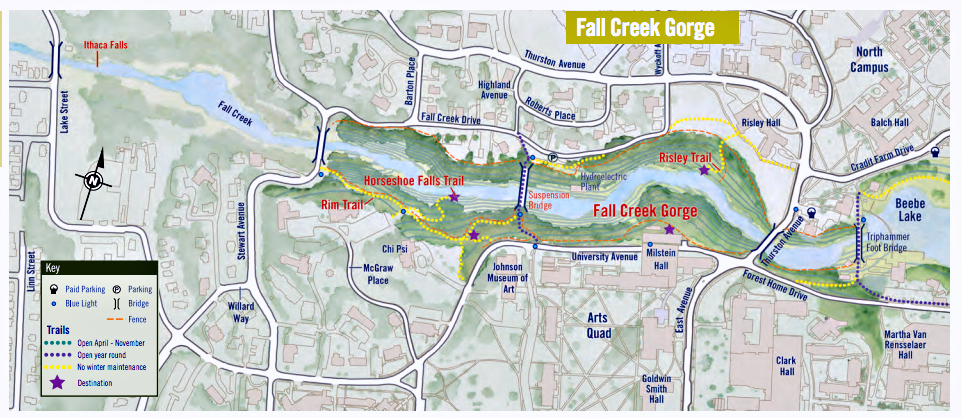 Life in the Slow Lane (The Pearl): June 1 – Fall Creek Gorge Hike