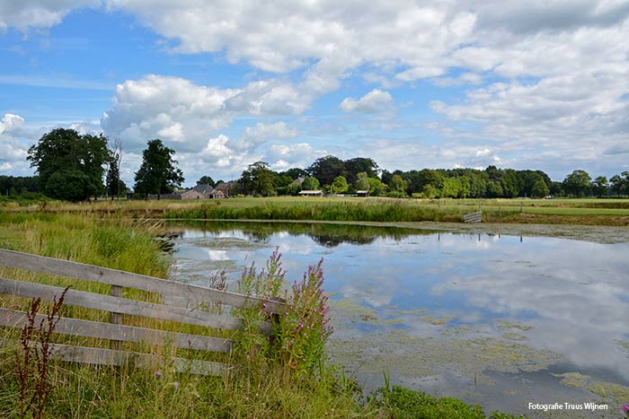 Wandelingen, een weblog met wandelroutes: Wandeling Ehzerwold Almen Wandelingen, een weblog met wandelroutes: Wandeling Ehzerwold Almen