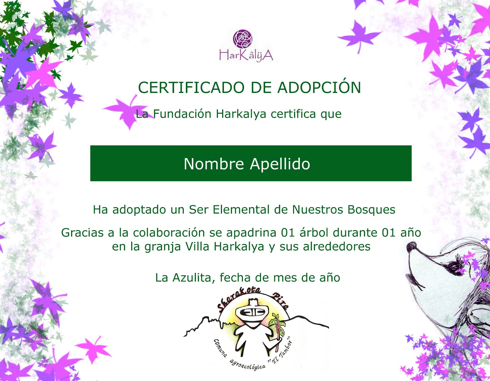 Certificado modelo - Imagui