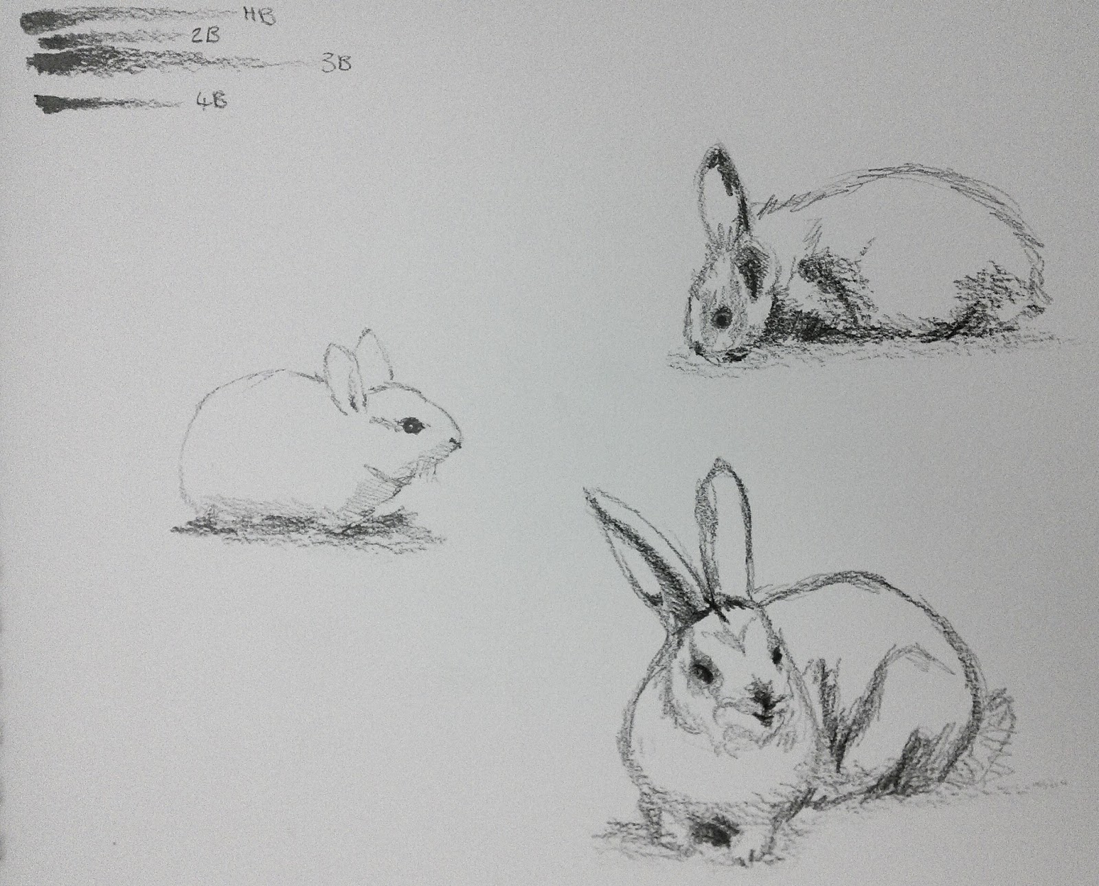 Create A Drawing A Day: Page of rabbits and art tip