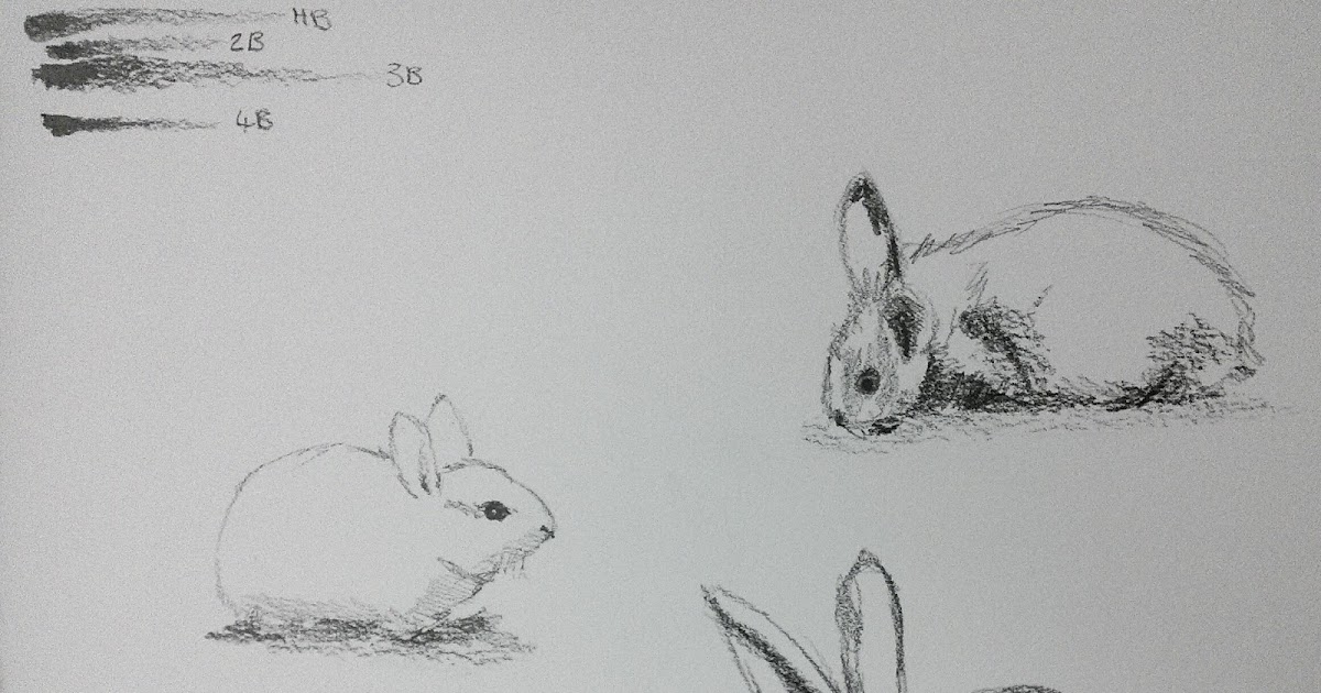 Create A Drawing A Day: Page of rabbits and art tip