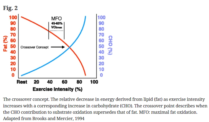 Muscle Oxygen Training: VO2 max by gas exchange Vs Garmin/Firstbeat ...
