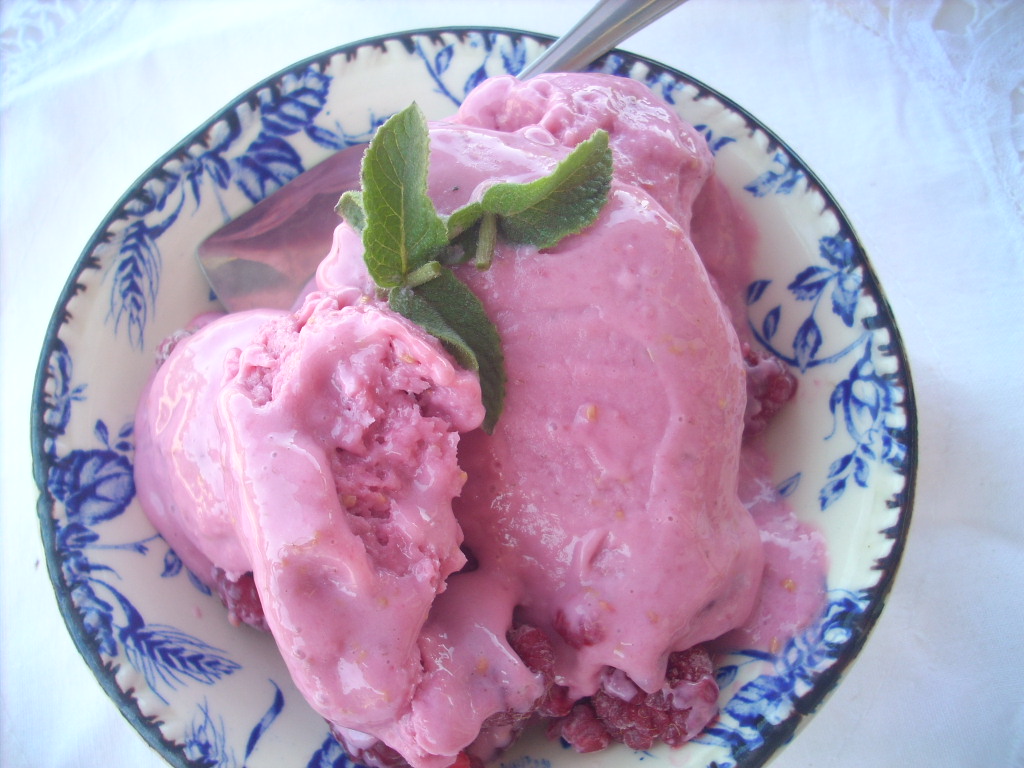 Canela kitchen (gloria): Raspberries and greek yougurt Ice cream
