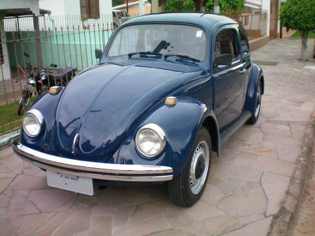 Besouros a Ar: Membros: Fusca Azul 76 do Róger - Ganso
