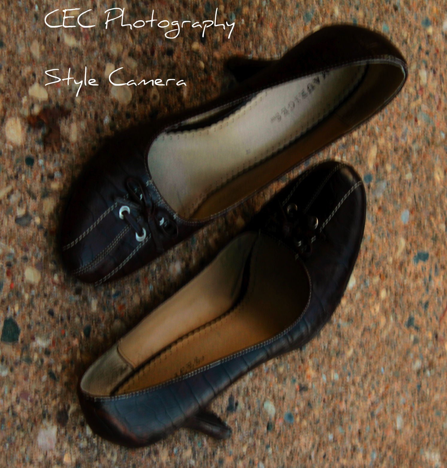 StyleThrough a Camera Lens: Style What More