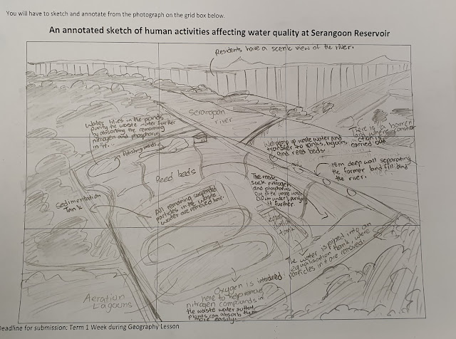 Geography teacher sharing: 2020