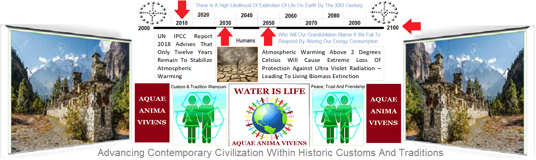 SGO ____________ SUPRANATIONAL ORGANIZATIONS ____________ SGO: THE TWO ...