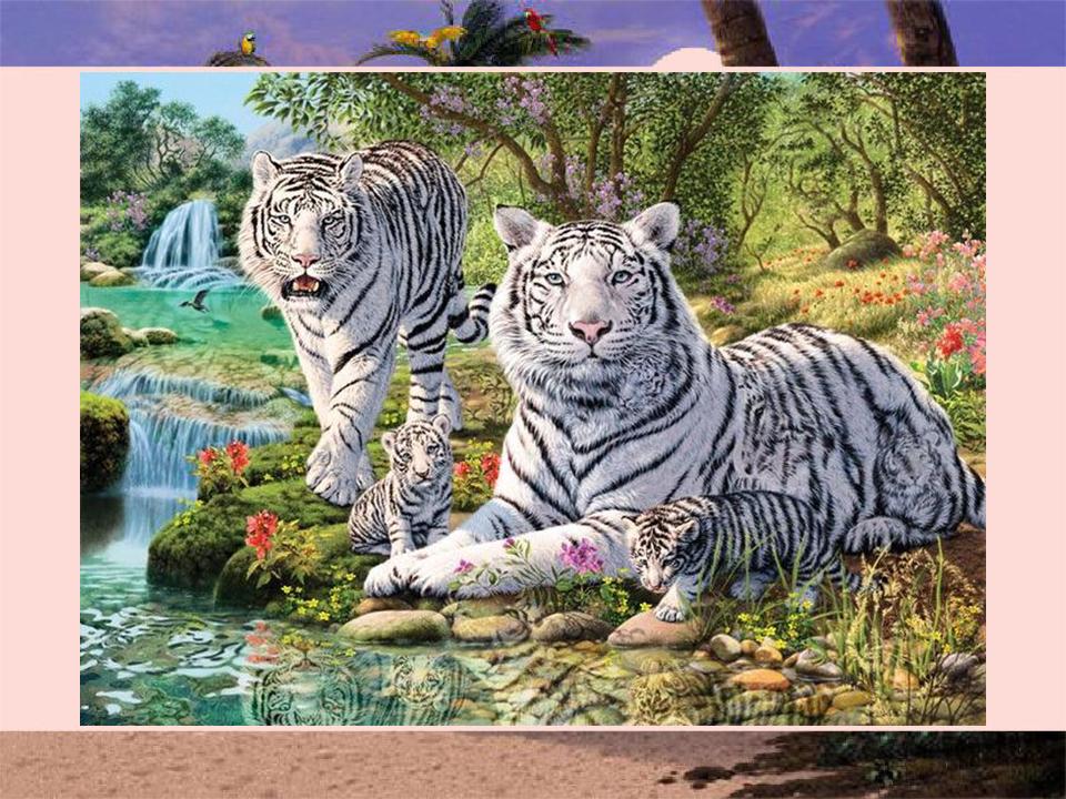 Soloillustratori: Steve Read