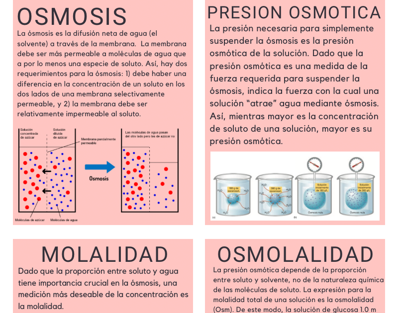 OSMOSIS Y OSMALALIDAD