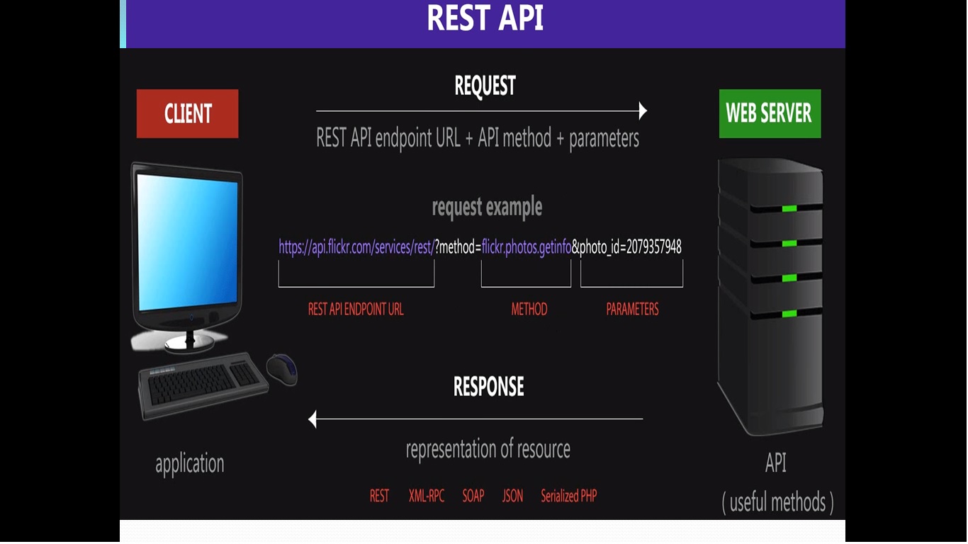 Ramesh Insights In Automation Api Automation Testing With Rest Assured