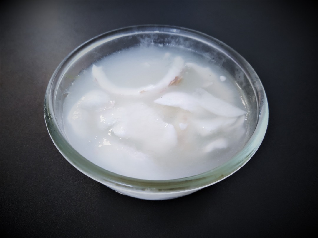 Stevia Cookbook: Resepi Agar-Agar Kelapa Stevia