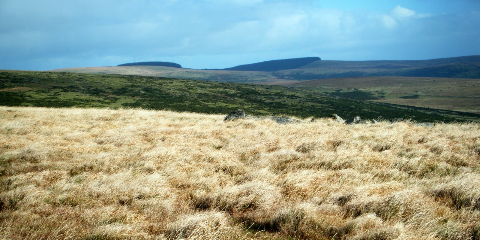 My Dartmoor Walks: Tuesday 18th October Higher White Tor