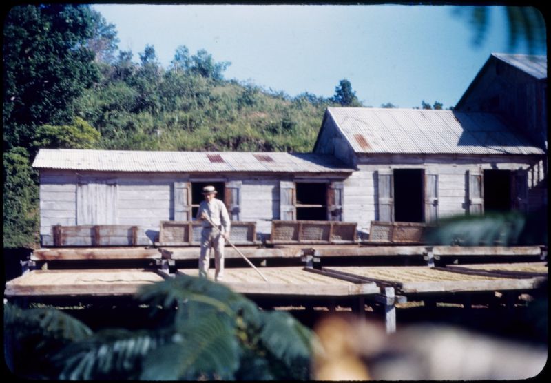 Everyday Life of Puerto Rico in the Mid-1940s Through Amazing Color ...
