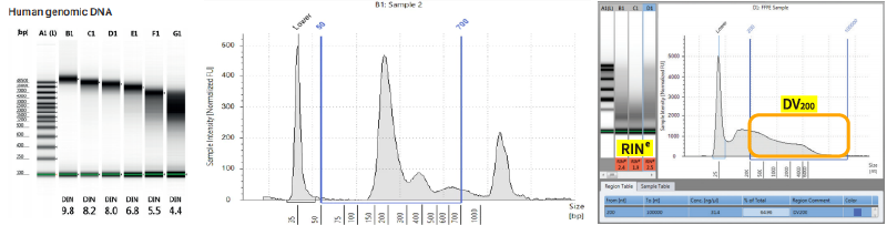 Agilent SureSelect 應用與發展 ( 2 ) Overview — 自動化系統平台