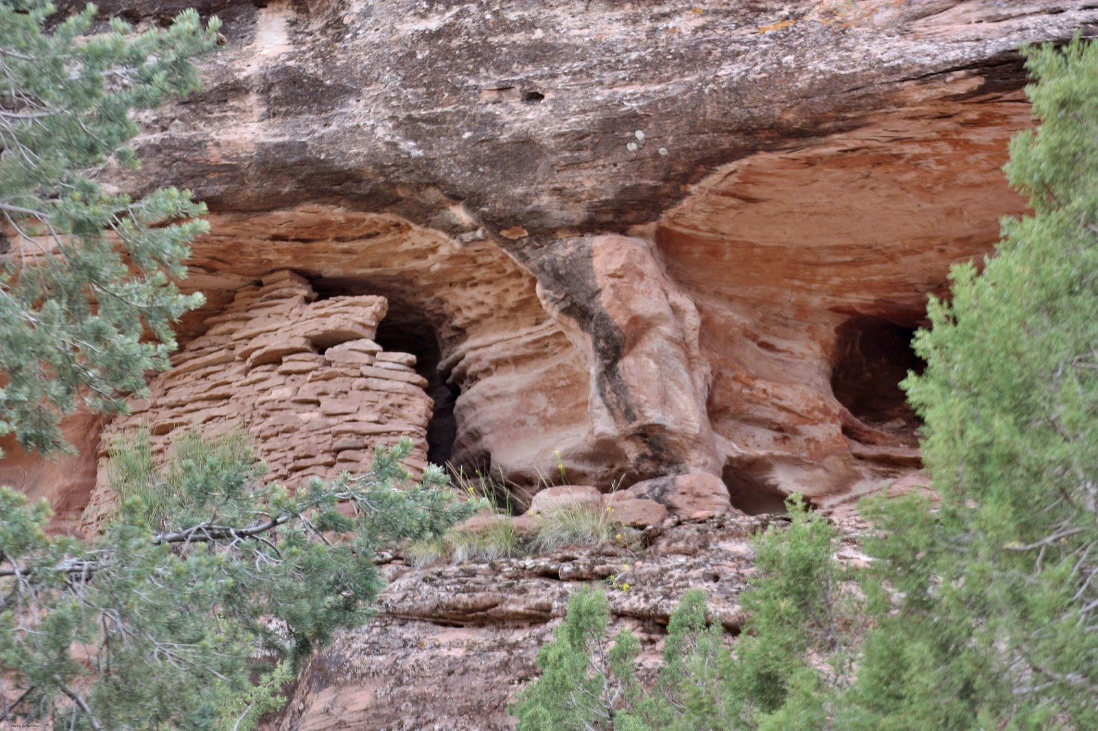 The Southwest Through Wide Brown Eyes: Mapping Montezuma Canyon Road ...