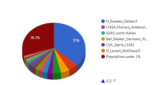 DNA results (West Andalusian-Spain)