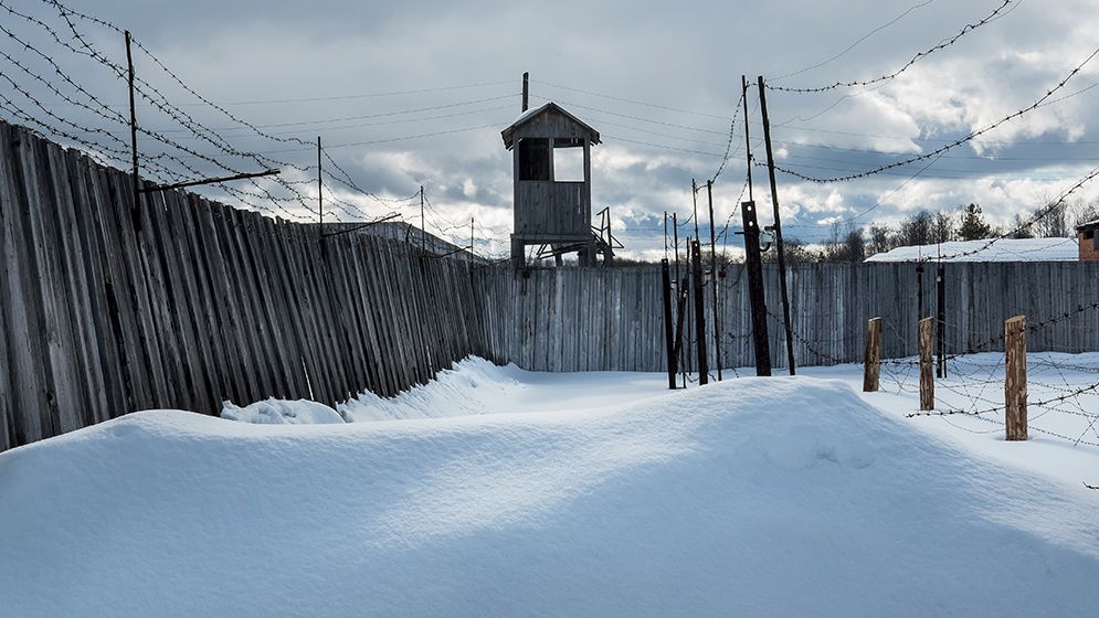 EL VIAJE DE CILKA: ¡Una increíble historia real! ~ El Aventurero de Papel