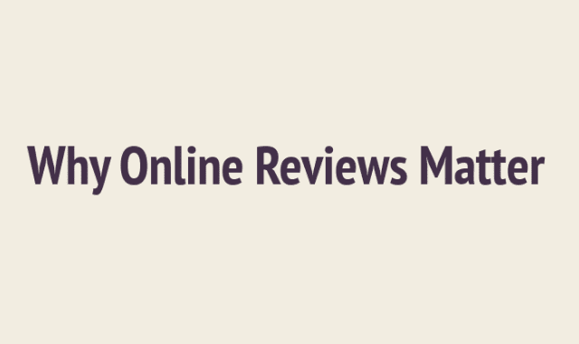 Why Online Reviews Matter #Infographic - Visualistan