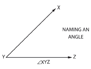 Terms Related to Lines and Angles, Types of Lines and Angles