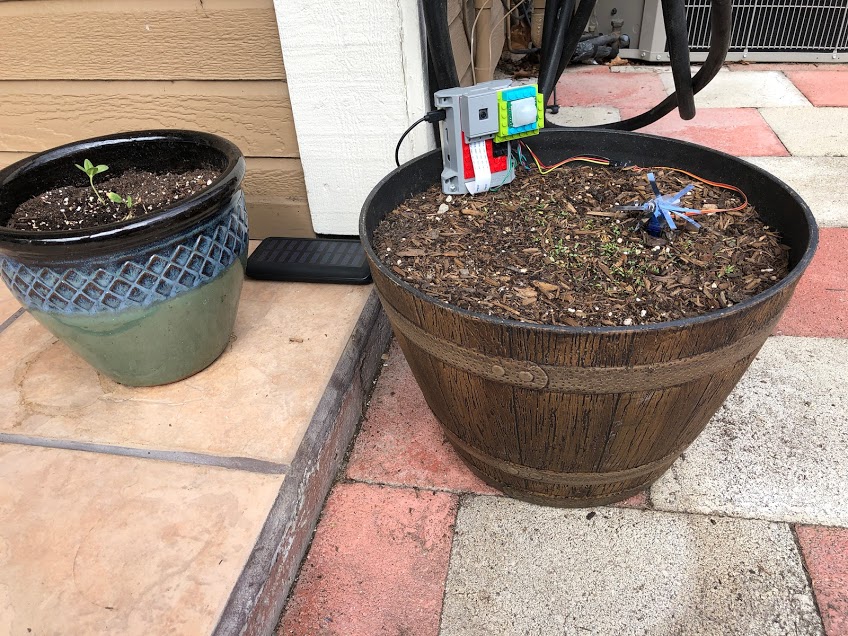 #Ms.Haughs: "Tomato Pi" & "Scarecrow Pi"-- Raspberry Pi in our urban garden